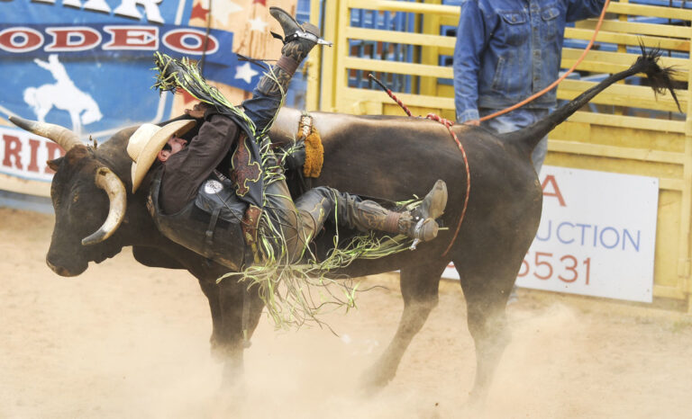 Rope and wrangle 'em! Limestone Sheriff's Rodeo opens today - 256 Today