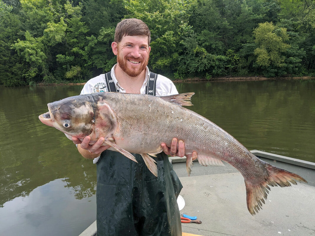 State fisheries department continues to monitor invasive carp species ...