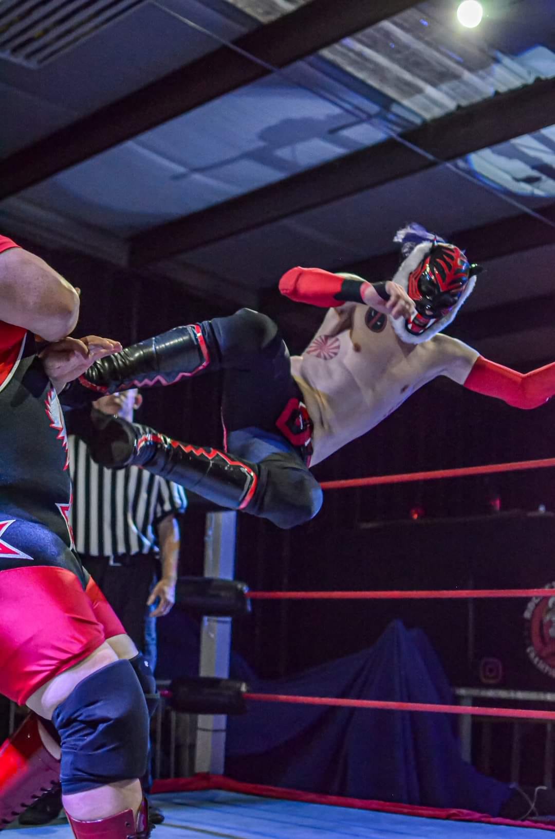 On The Job with Tiger Kid, Professional Wrestler - 256 Today