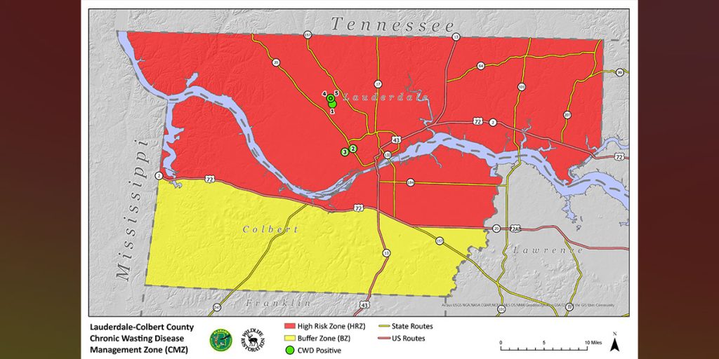 Mandatory CWD testing dates announced for Lauderdale and Colbert ...