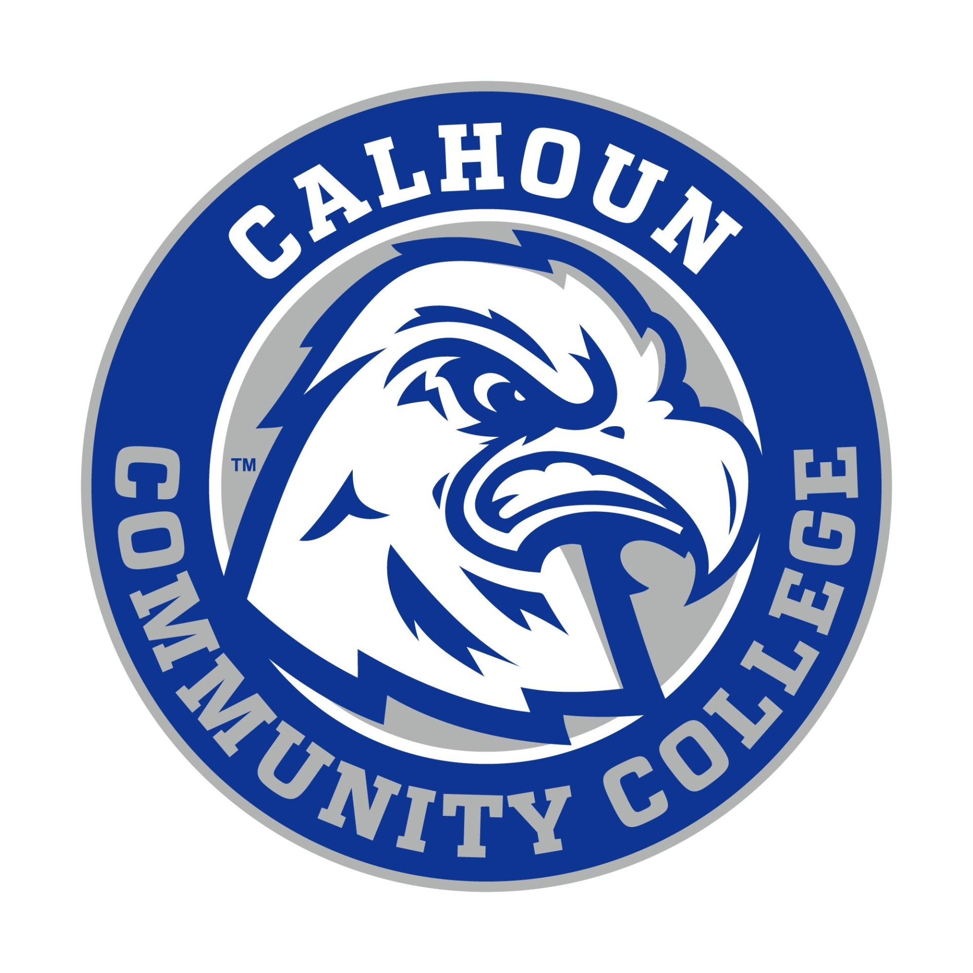 Iowa bound: Calhoun volleyball punches ticket to national tournament ...