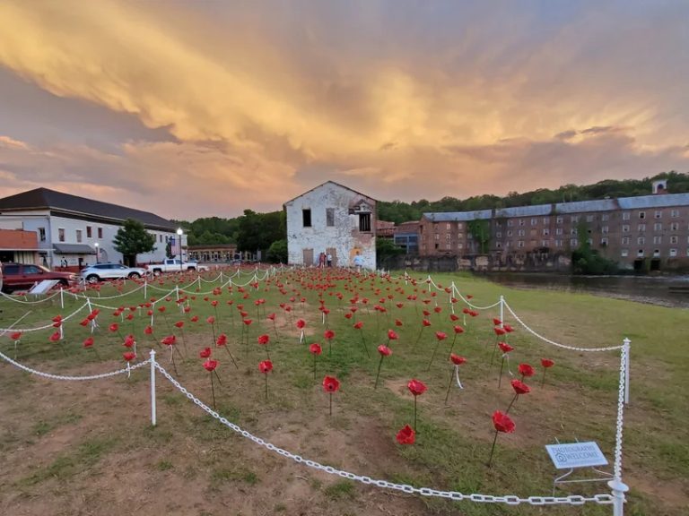 Blount County Poppy Project honors Alabama’s heroes with tribute of 500 ...